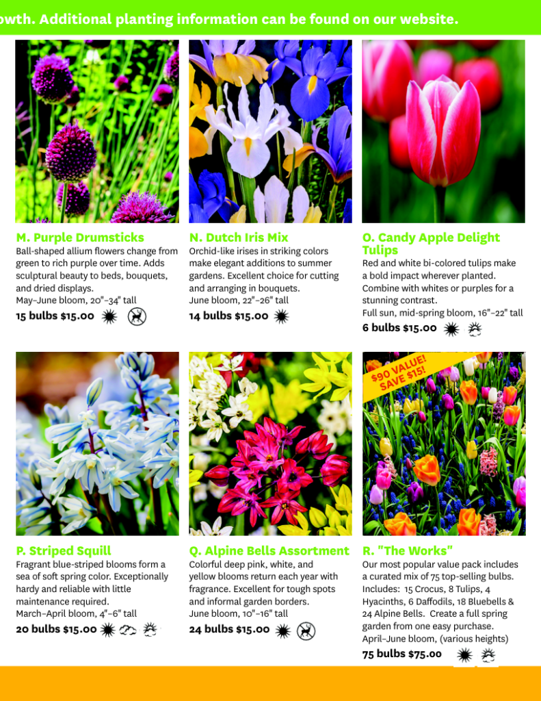 Order Free Brochures – Dutch Mill Bulbs